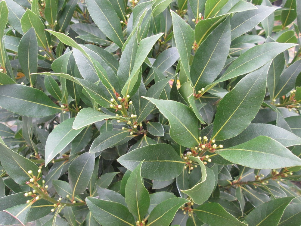 Thinking Outside the Box